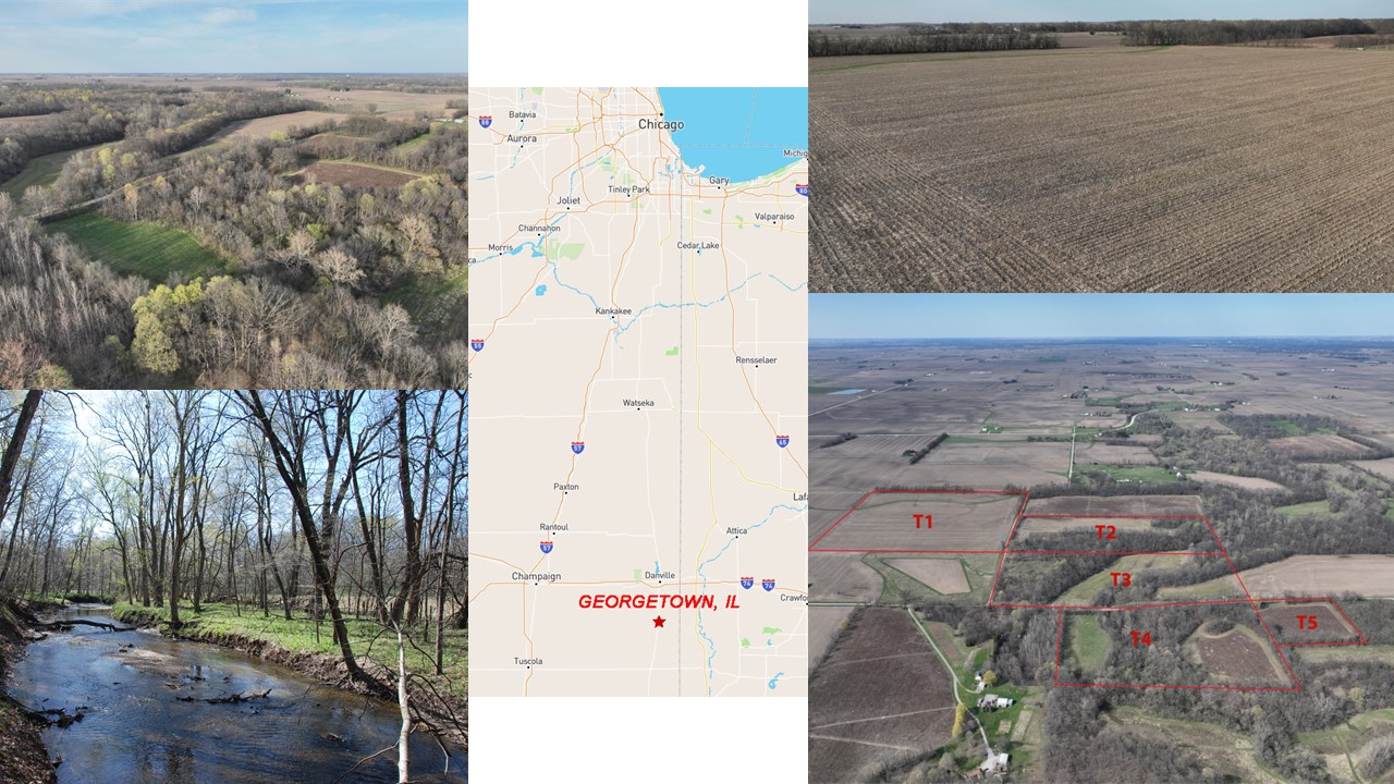 AUCTION +/- 99 ACRES, Elwood Twp. Vermilion County, IL - Illinois ...